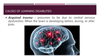 Causes of learning disabilities | PPTX