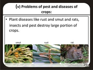 Causes of low production | PPTX