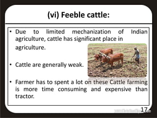 Causes of low production | PPTX