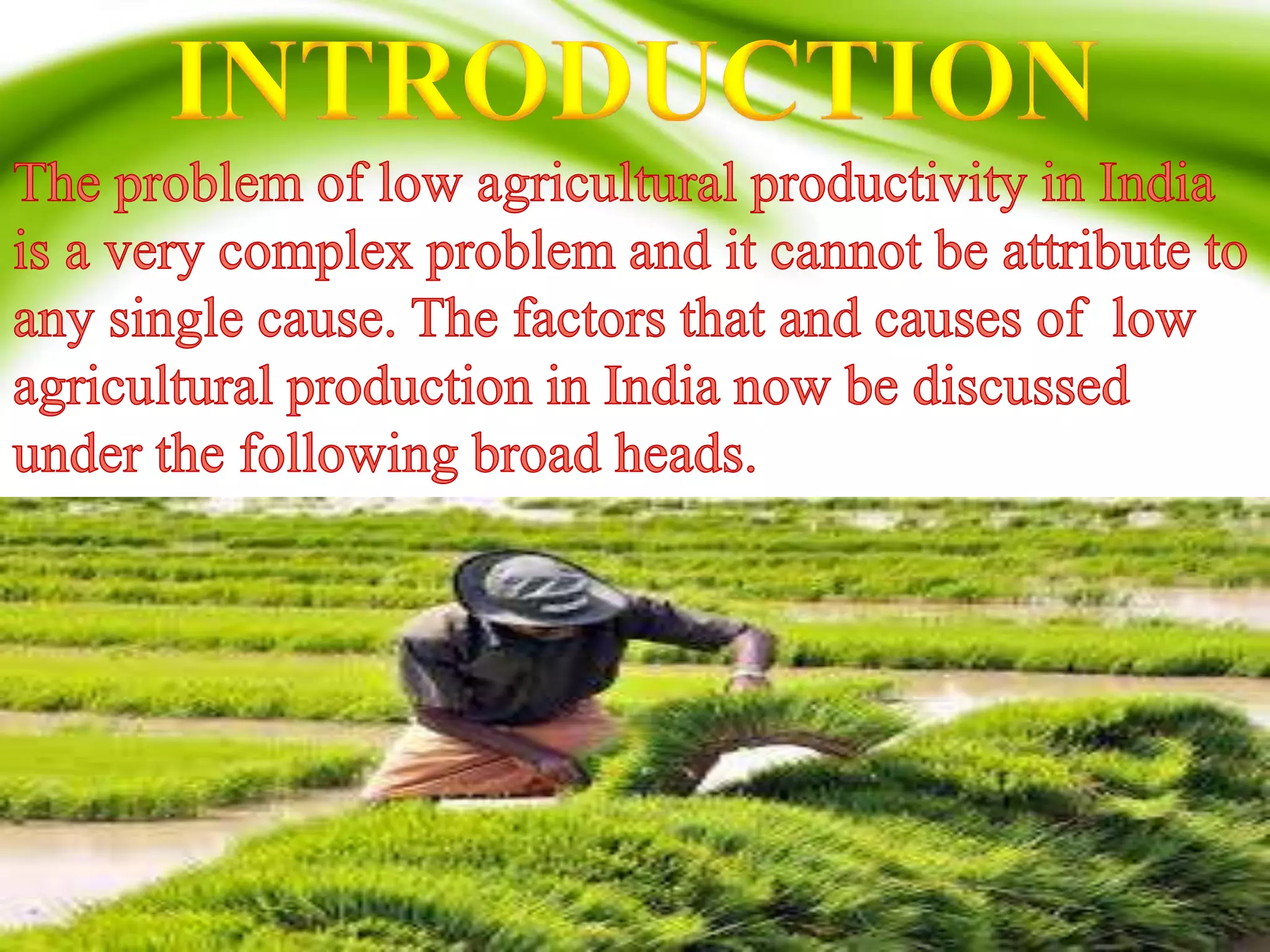 Causes of low productivity in indian agriculture | PPTX
