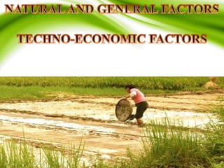 Causes of low productivity in indian agriculture | PPTX