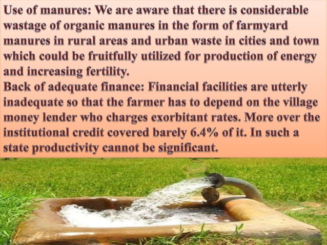 Causes of low productivity in indian agriculture | PPTX | Agriculture ...