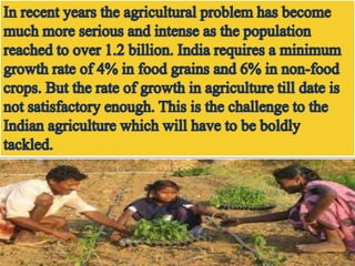 Causes of low productivity in indian agriculture | PPTX