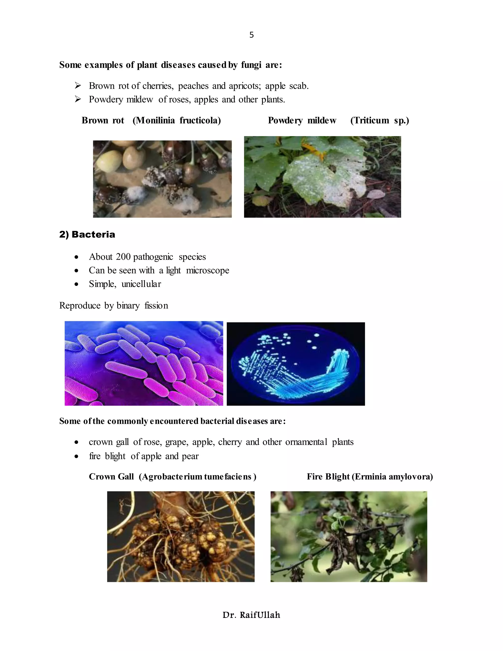 Causes of plants disease | DOCX