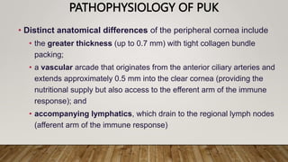 Causes of PUK - Discuss Pathophysio of One.ppt