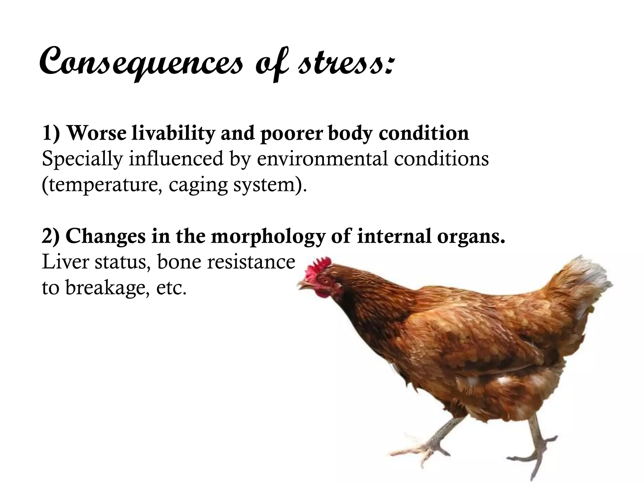 Causes of stress and its consequences in breeders and layers | PDF