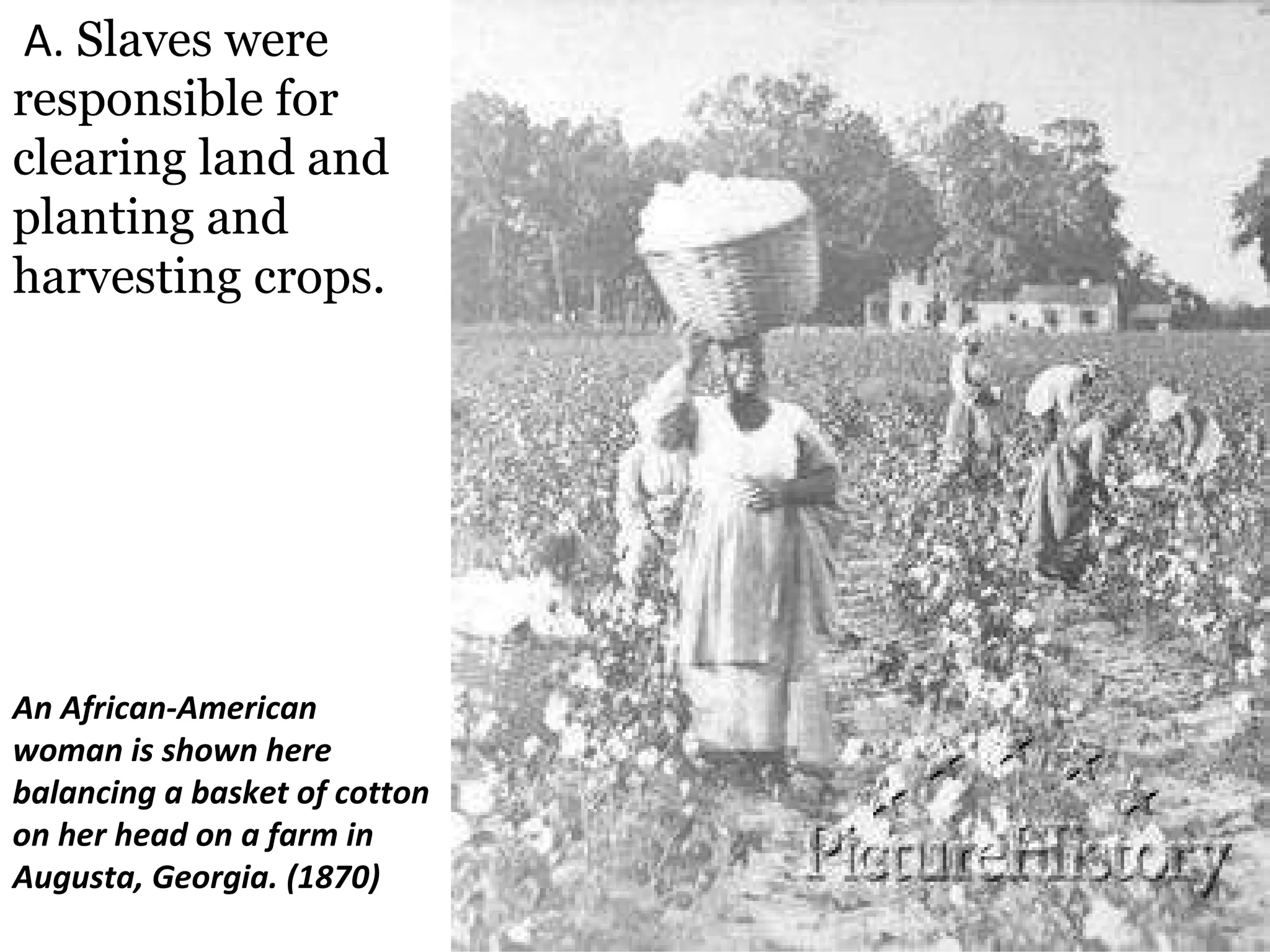 Causes of the Civil War: Slavery | PPT