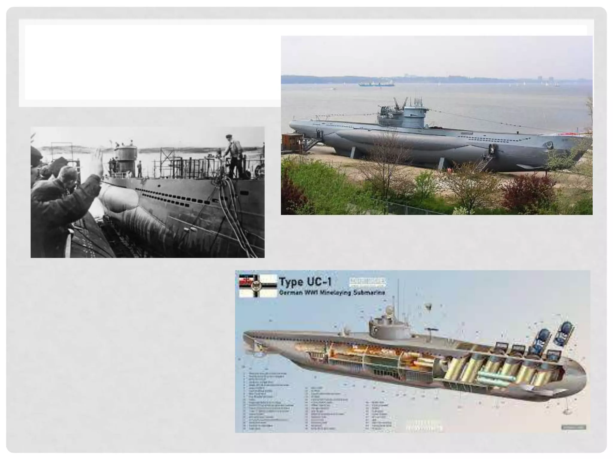 Causes of US Entry Into WWI.ppt