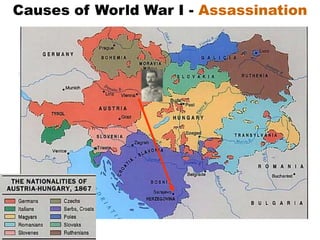 Causes of wwi | PPTX