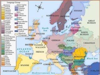 Causes of wwi | PPTX