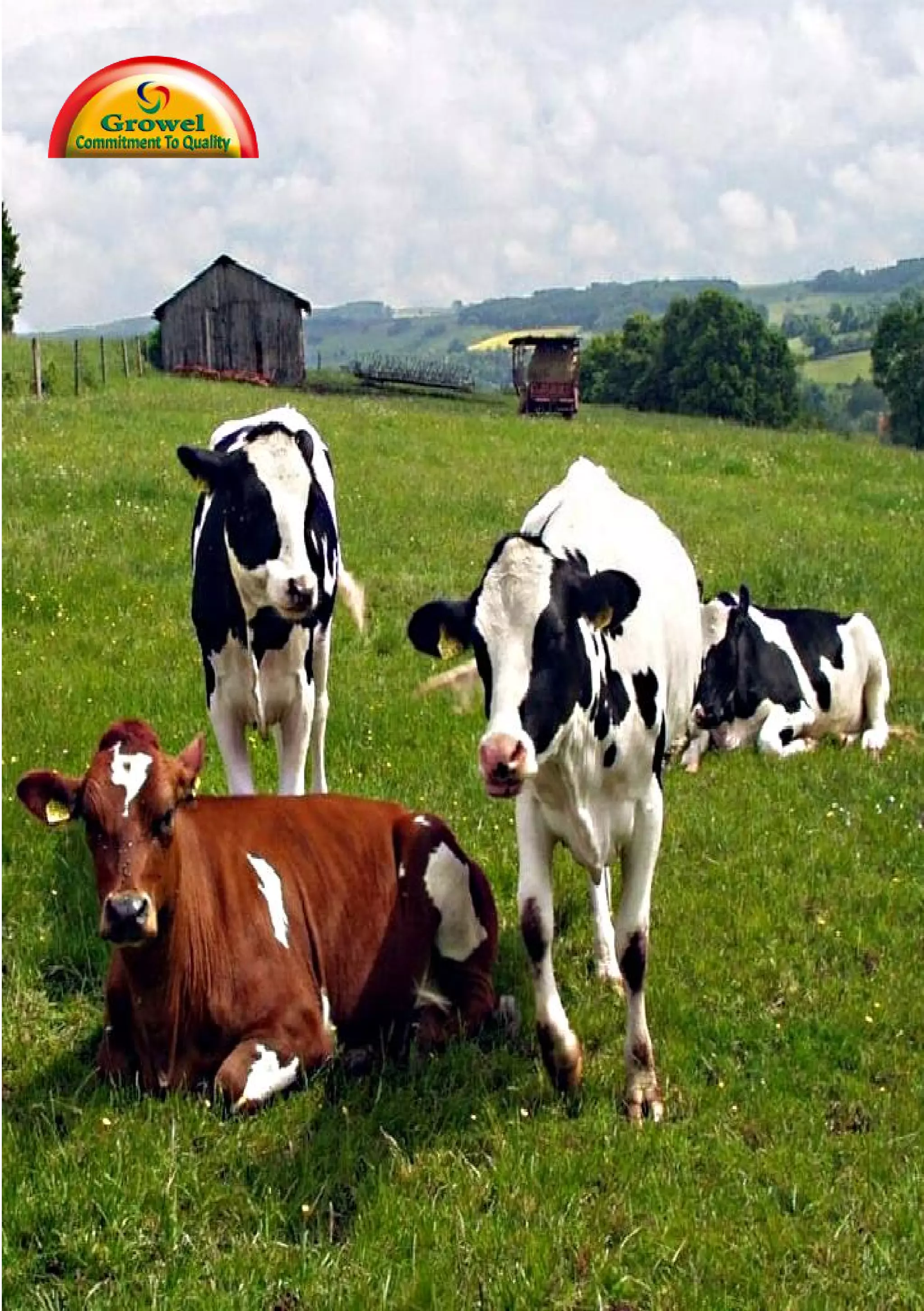 Causes & Treatment of Diarrhoea in Cattle | PDF