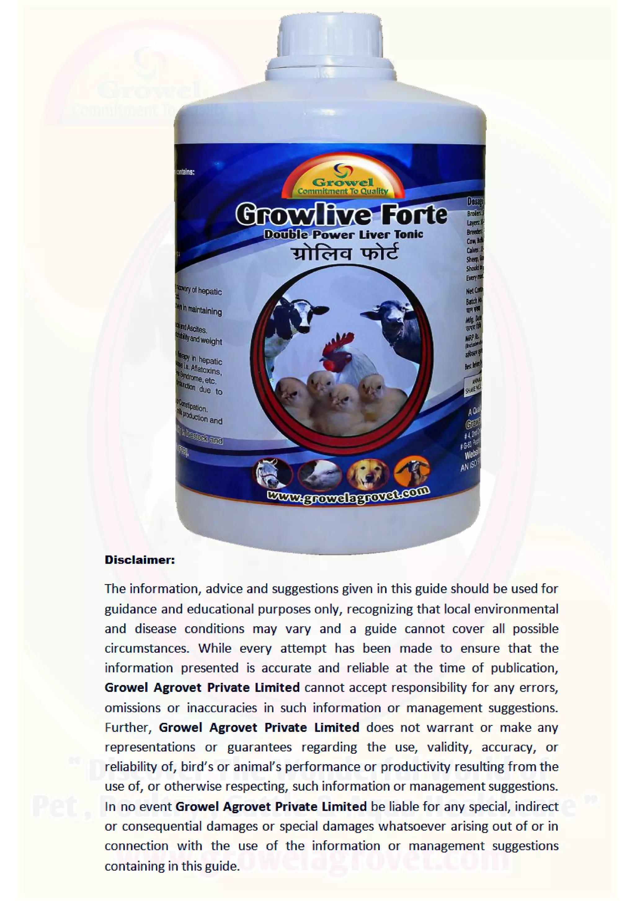 Causes & Treatment of Diarrhoea in Cattle | PDF