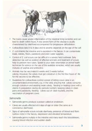 Causes & Treatment of Diarrhoea in Cattle | PDF