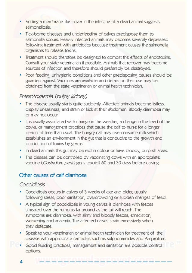 Causes & Treatment of Diarrhoea in Cattle | PDF | Digestive Disorders ...