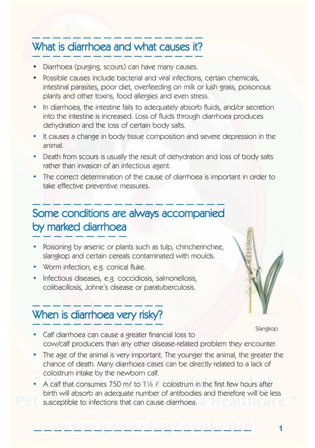 Causes & Treatment of Diarrhoea in Cattle