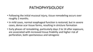 CAUSTIC INGESTIONS.pptx