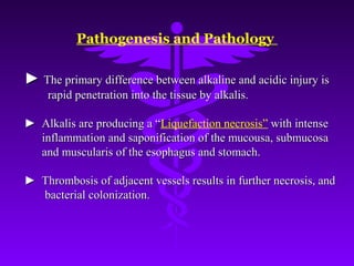 Caustic injury | PPT
