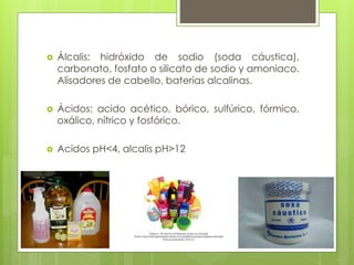 Intoxicación por Causticos | PPTX
