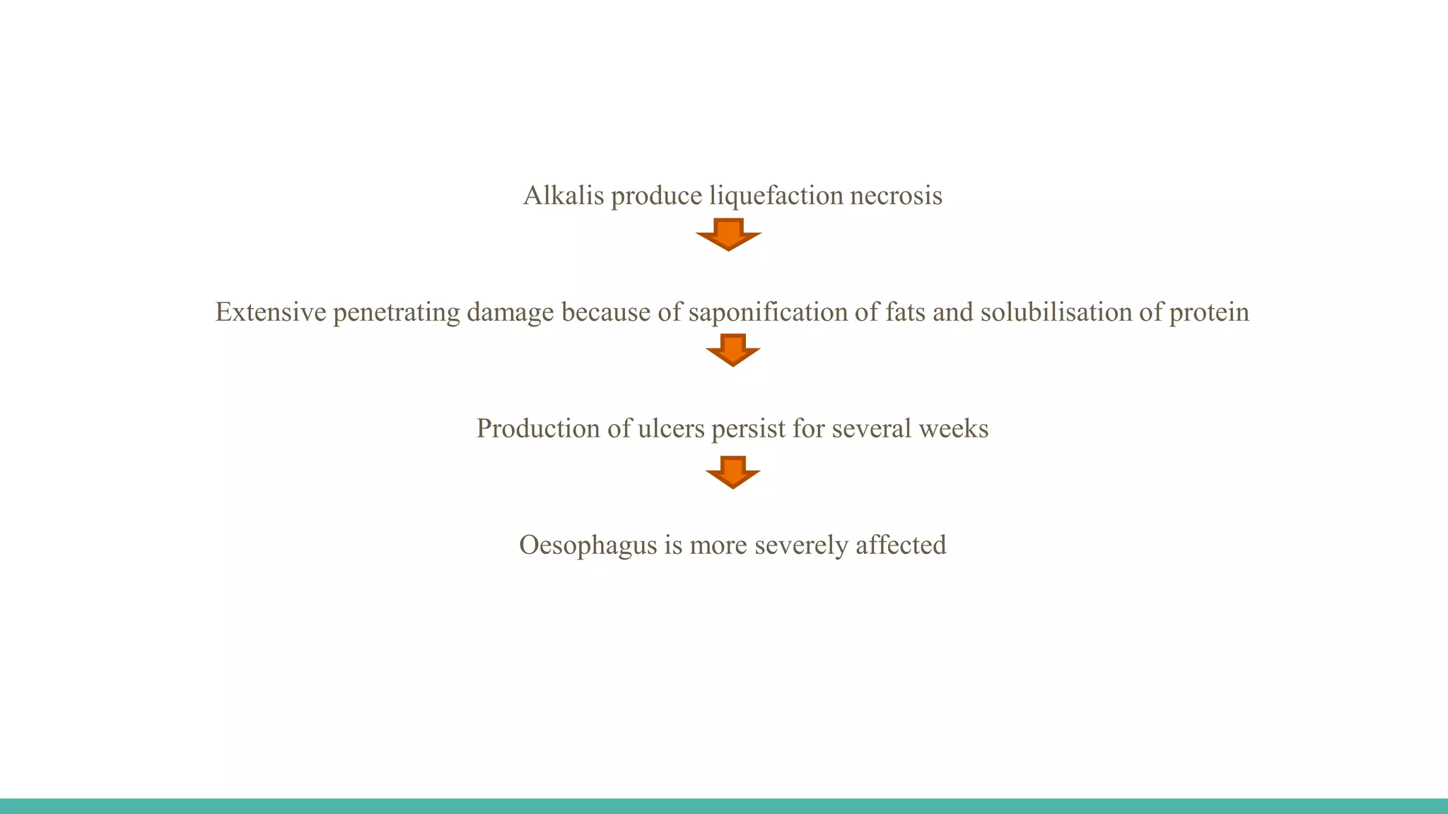 Caustics - Alkali | PPTX