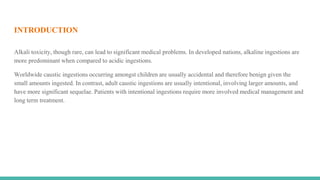 Caustics - Alkali | PPTX