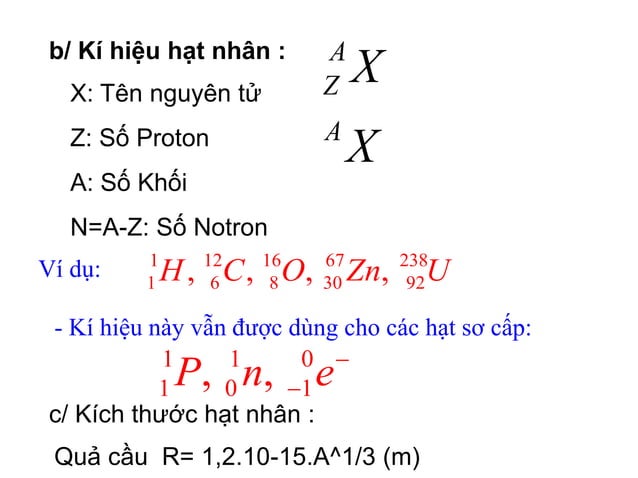 cau tao hat nhan (thang).16013.ppt