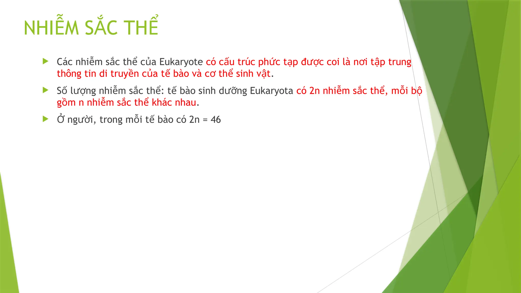 Cau tao va chuc nang cua nhan te bao.pptx