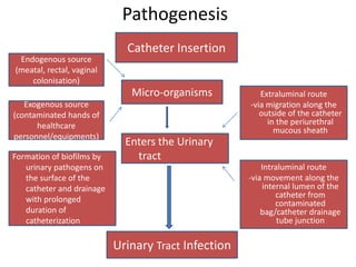 Catheter Associated Urinary Tract Infections (CAUTI) | PPTX