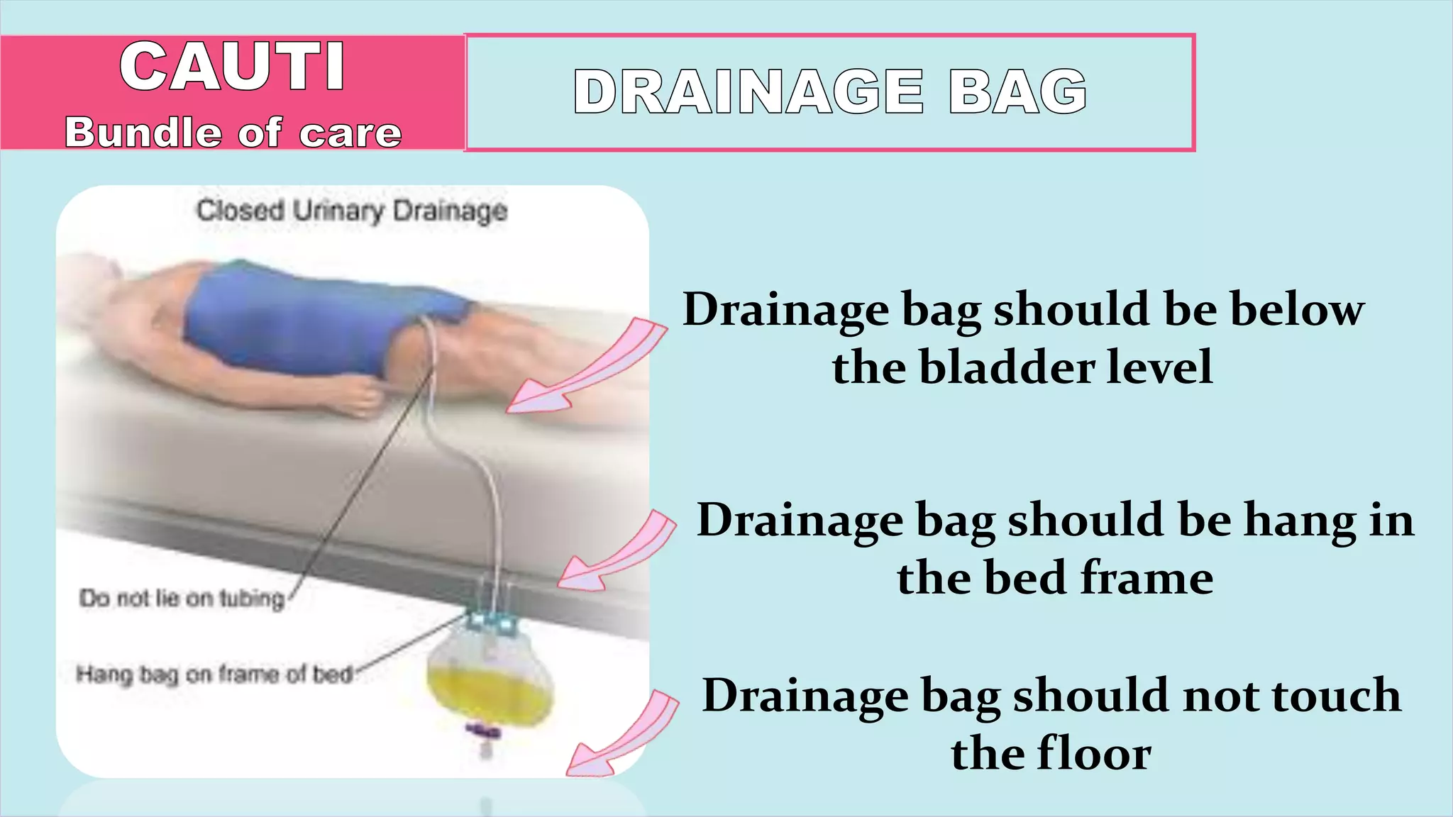 Cauti bundle of care | PPTX