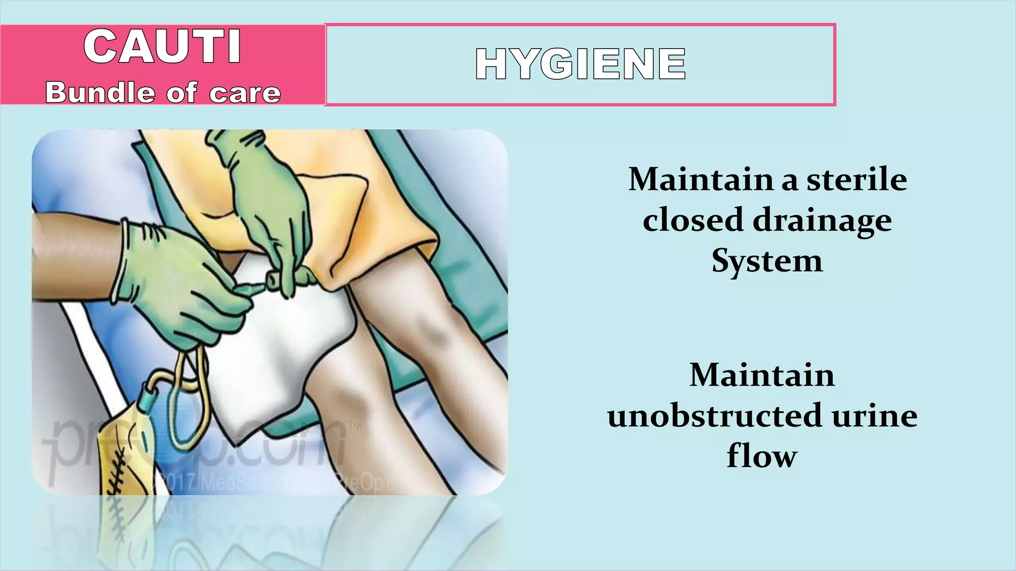 Cauti bundle of care | PPTX