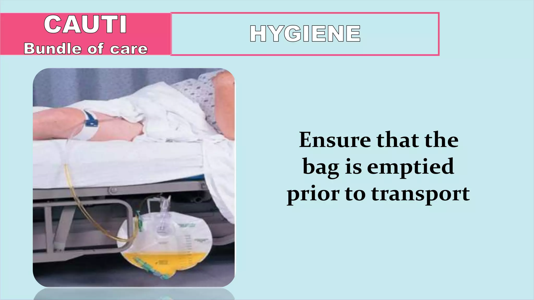 Cauti bundle of care | PPTX