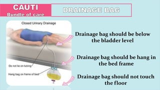 Cauti bundle of care | PPTX