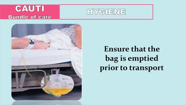 Cauti bundle of care | PPTX