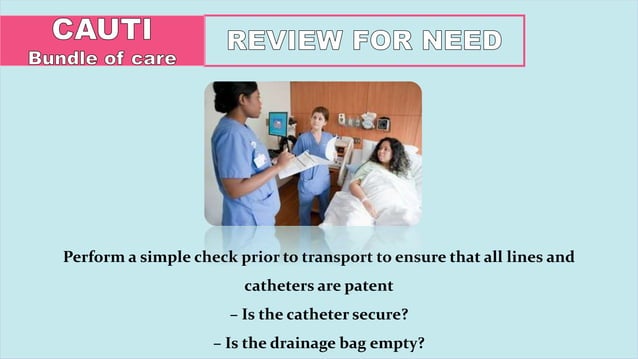 Cauti bundle of care | PPTX