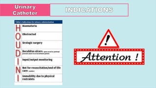 Cauti bundle of care | PPTX