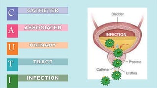 Cauti bundle of care | PPTX
