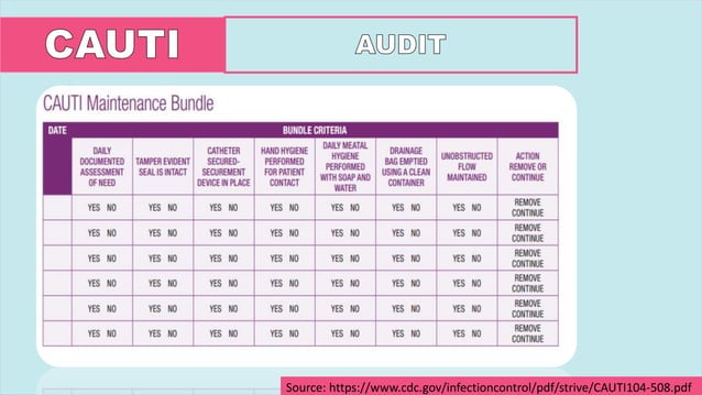 Cauti bundle of care | PPTX