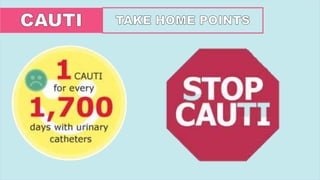 Cauti bundle of care | PPTX