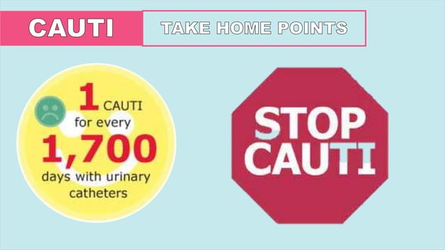 Cauti bundle of care | PPTX