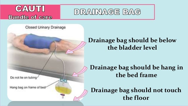 Cauti bundle of care