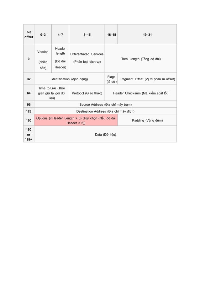 Cau truc goi tin i pv4 | PDF