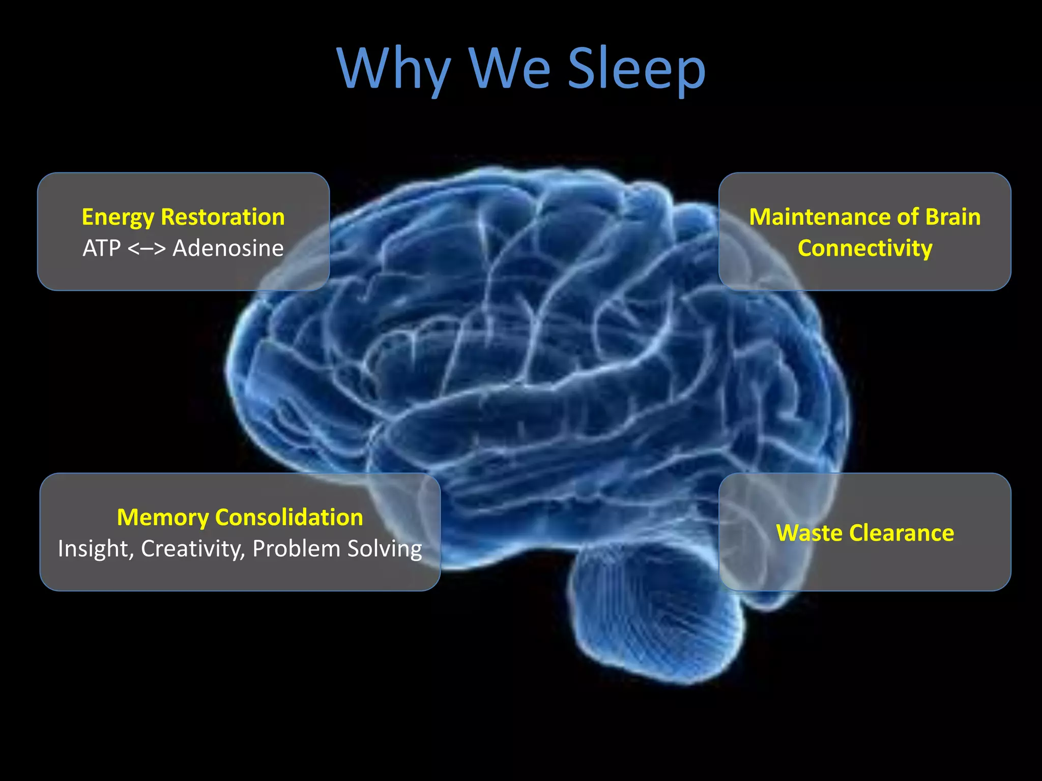 The glymphatic system in sleep and neurodegenerative diseases | PPTX