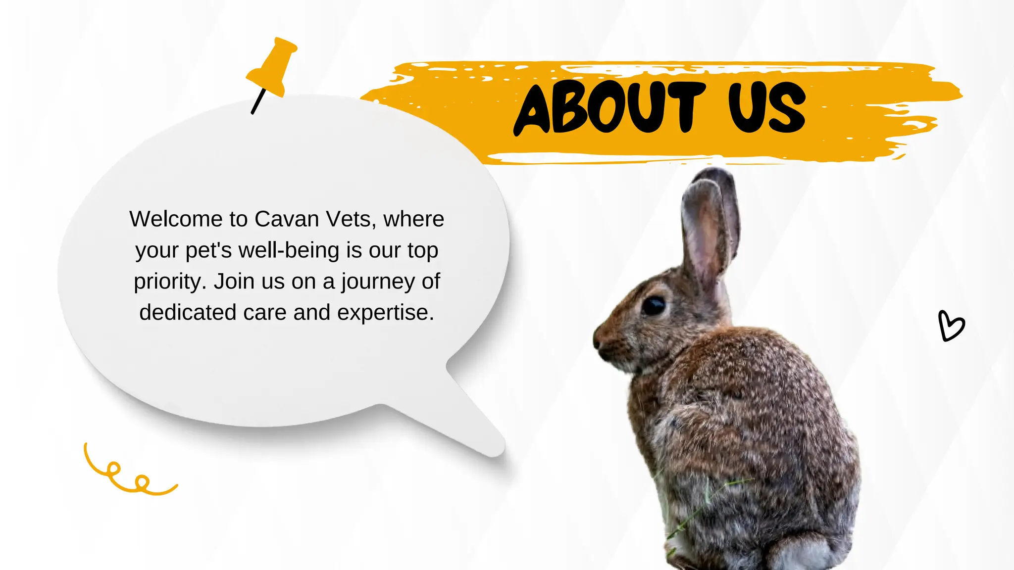 Cavan Vets Your Trusted Veterinary Partner.pdf