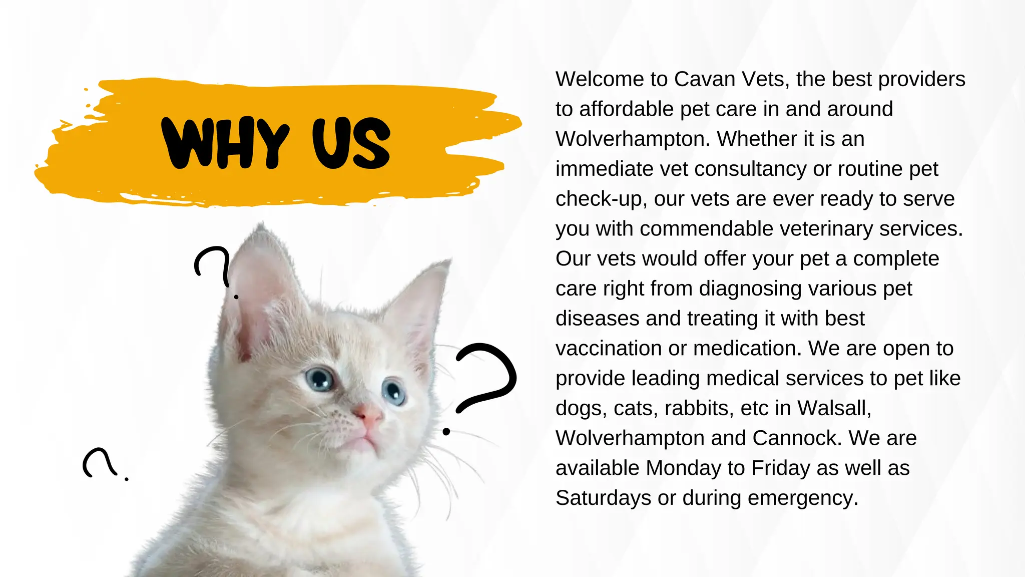 Cavan Vets Your Trusted Veterinary Partner.pdf