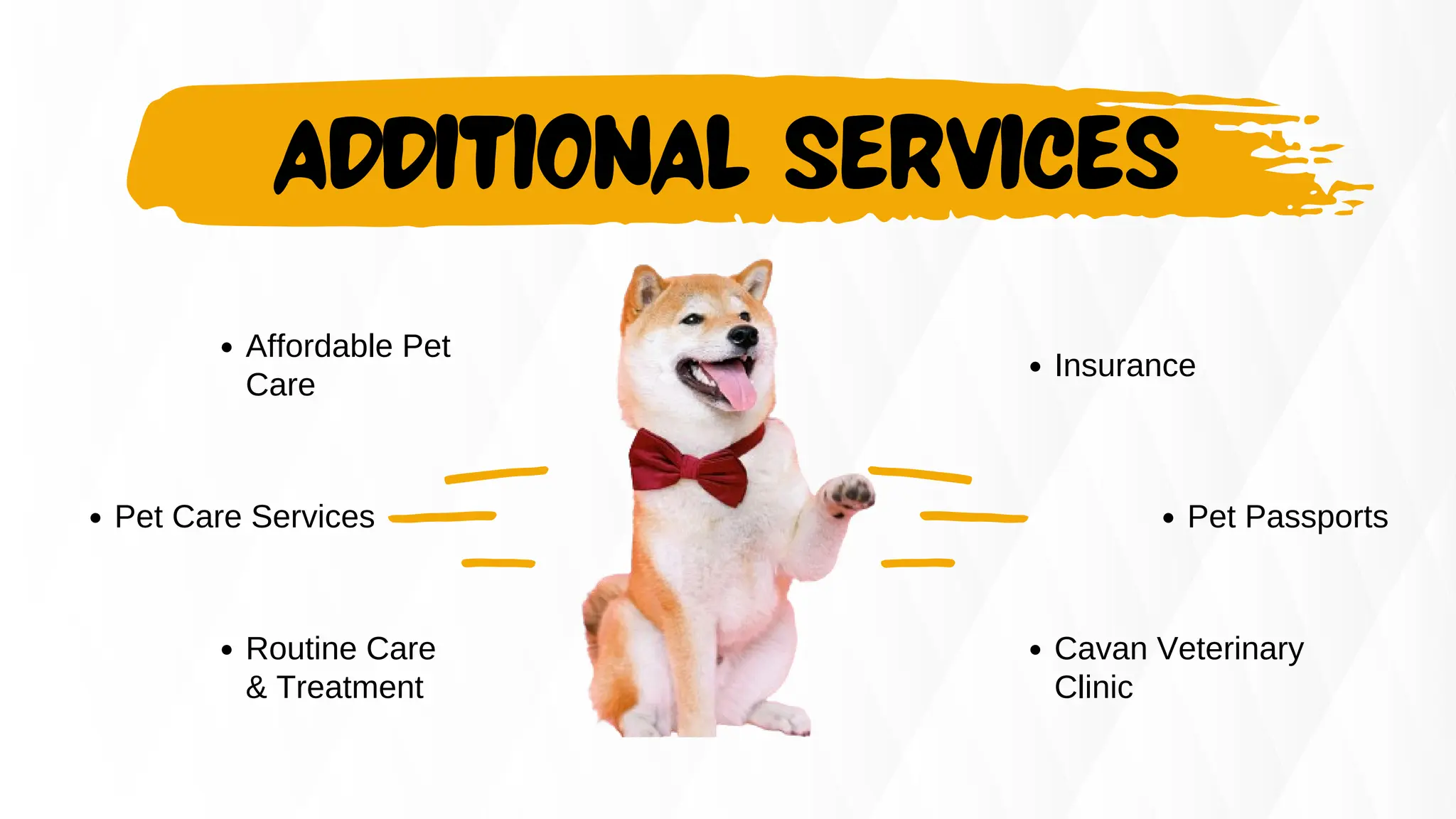 Cavan Vets Your Trusted Veterinary Partner.pdf