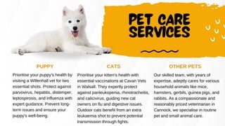 Cavan Vets Your Trusted Veterinary Partner.pdf