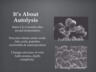 Cava presentation for Culinary Inst of America | PPT