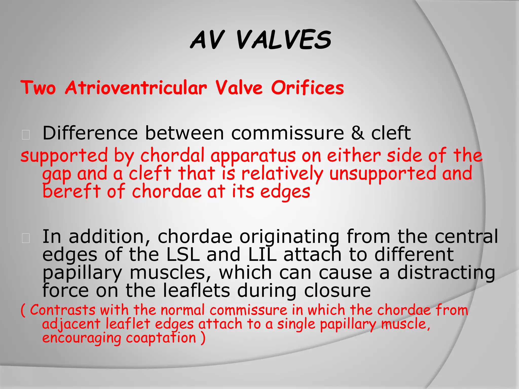 avsd | PPT