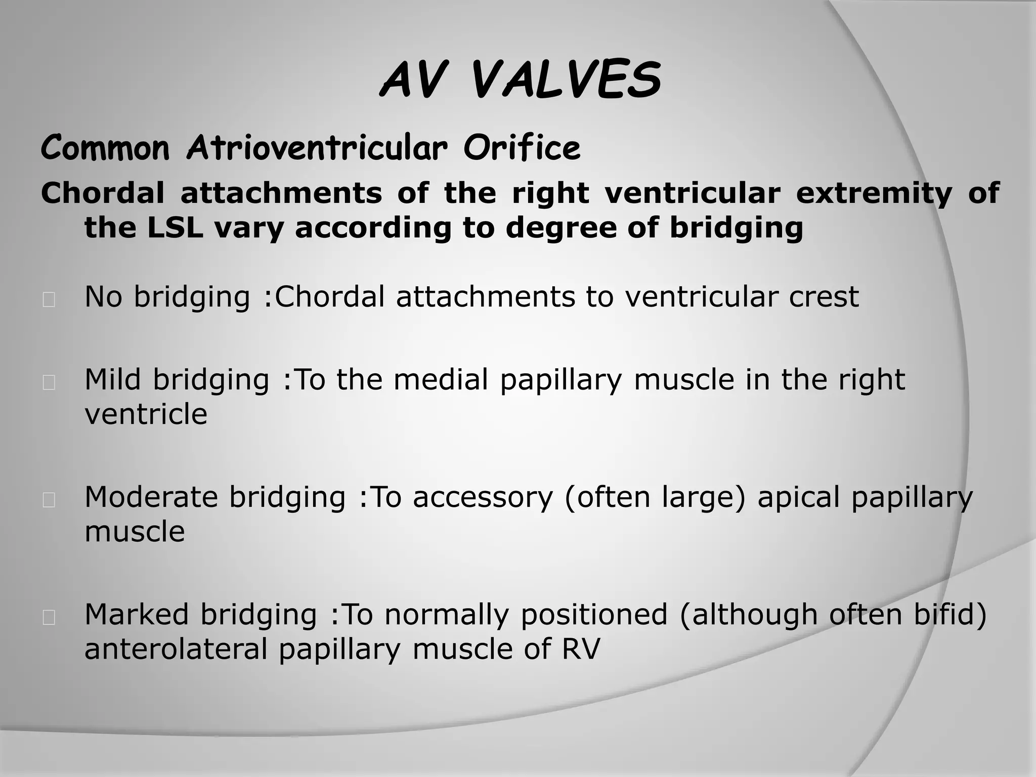 avsd | PPT