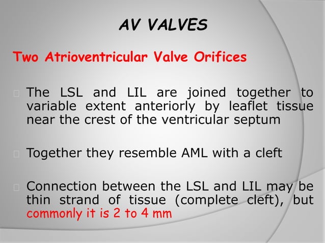 avsd | PPT