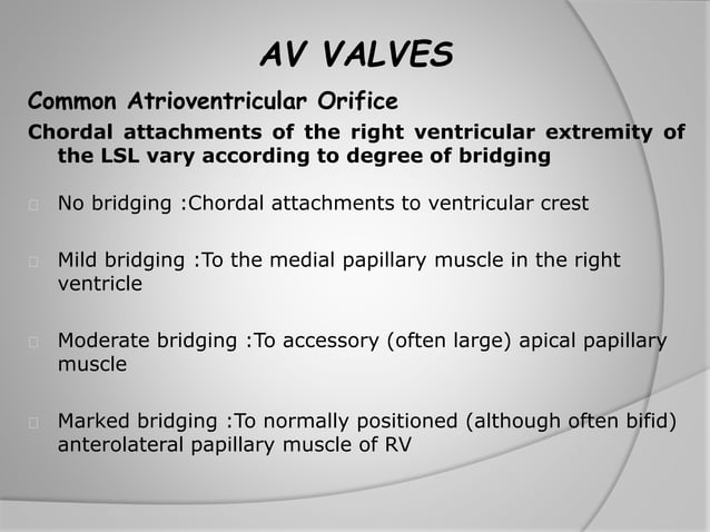avsd | PPT